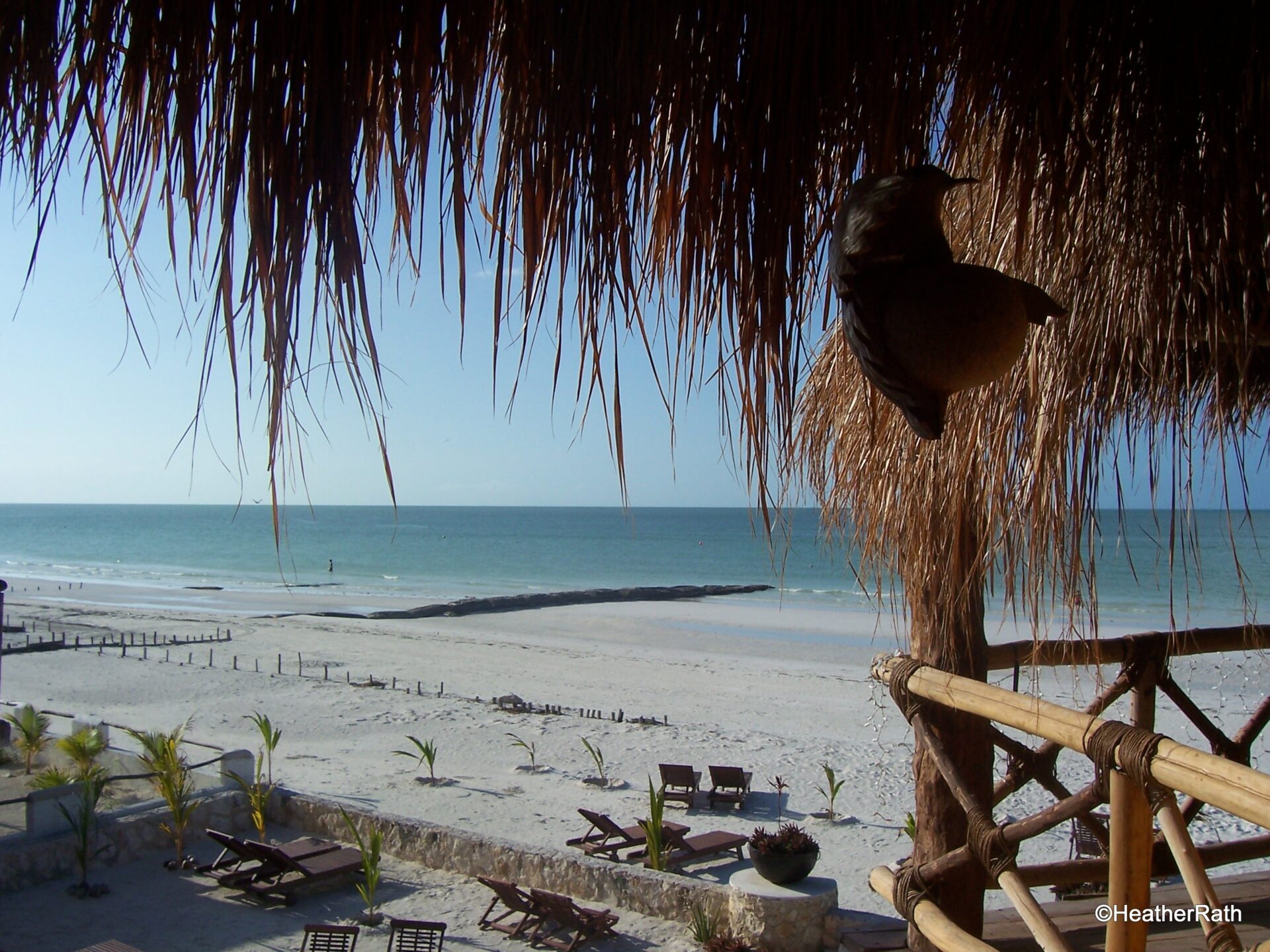 Holbox Mexico 2023 - Vamos Travel Blog